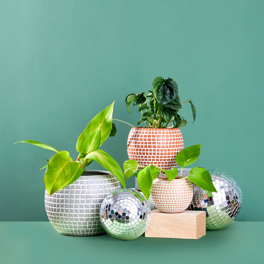 Disco Garden - Disco Ball Plant Stakes - Paloverde Botanicals