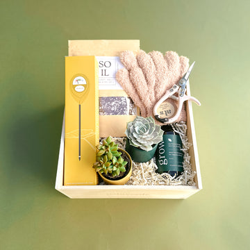 Custom Gift Boxes for Plant Lovers & Unique Plant Gifts – Paloverde ...
