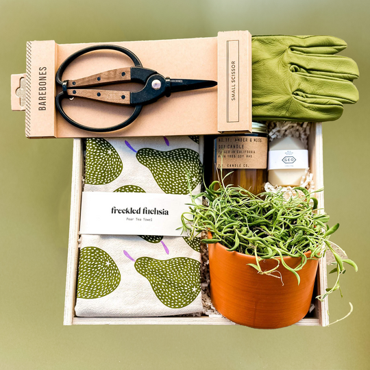 Curated Gift Boxes for Nature Lovers - Paloverde Botanicals