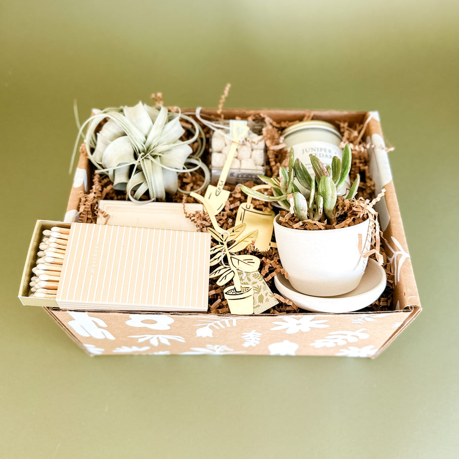 Custom Gift Boxes for Plant Lovers & Unique Plant Gifts – Paloverde ...