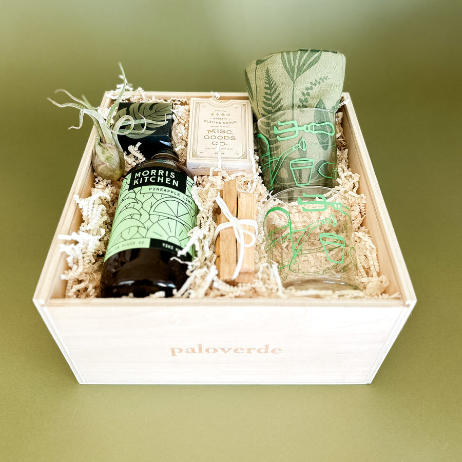 Paloverde Botanicals | Plant Gift Boxes & Disco Plant Decor