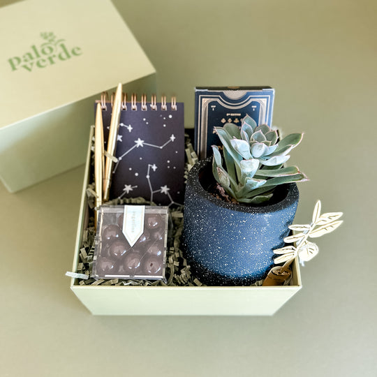 Curated Gift Boxes for Nature Lovers - Paloverde Botanicals