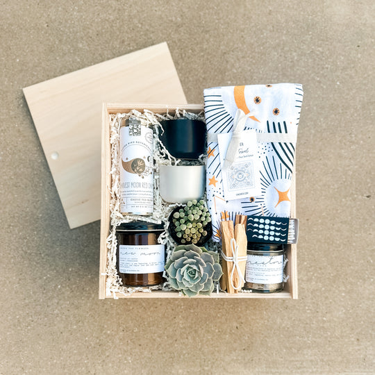 Paloverde Botanicals | Plant Gift Boxes & Disco Plant Decor