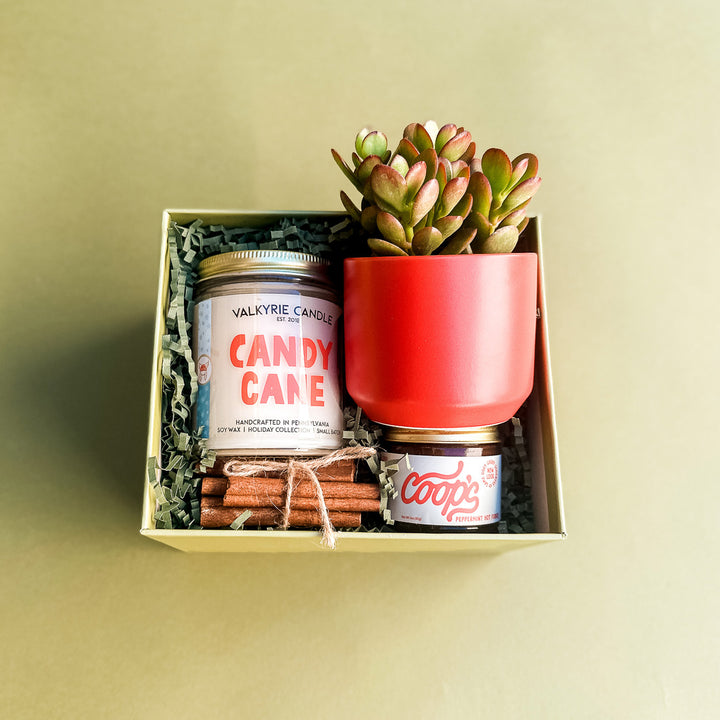 Curated Gift Boxes | Custom Botanical Gifts | Paloverde Botanicals