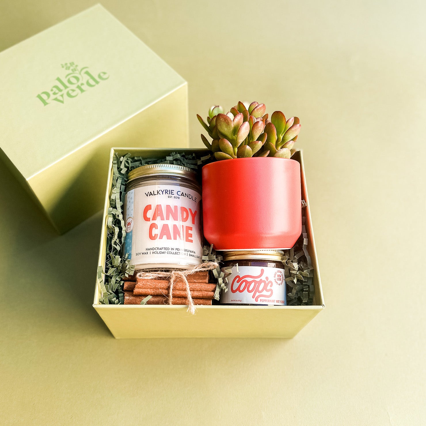 Peppermint Dream - Holiday Plant Gift Box – Paloverde Botanicals