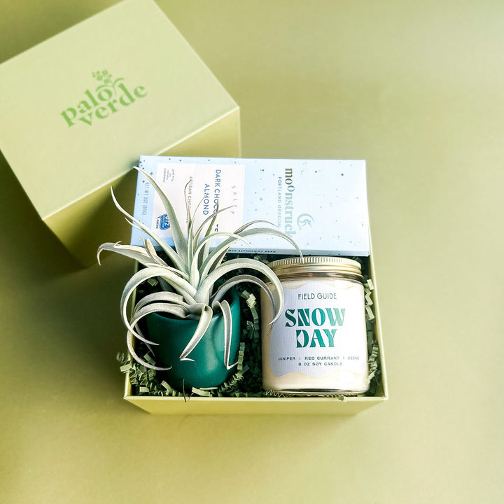 Custom Gift Boxes for Plant Lovers & Unique Plant Gifts – Paloverde ...