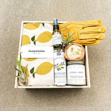 Curated Gift Boxes | Custom Botanical Gifts | Paloverde Botanicals